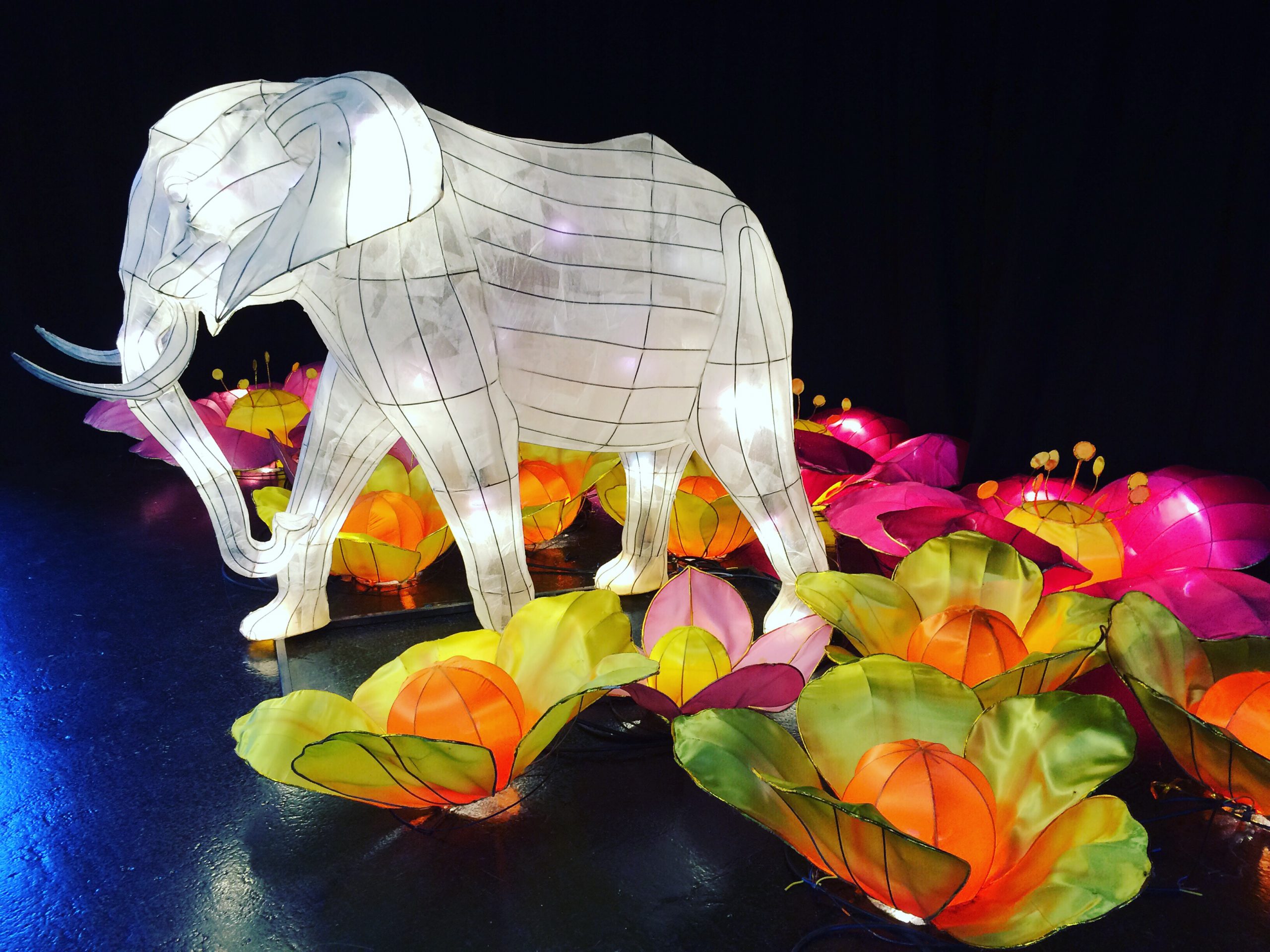 Create together - Global Grooves